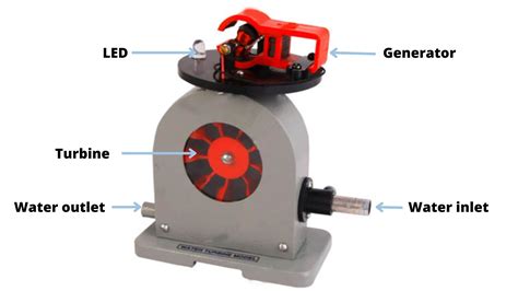 Layers Of The Human Skin Using Demonstration Model