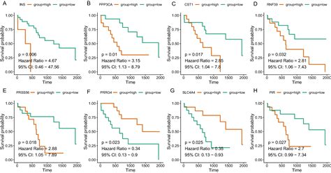 Identification Of Key Genes And Pathways Associated With Cholangiocarcinoma Development Based On