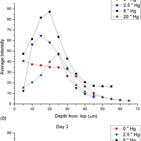 cell spatial distribution under different vacuum seeding pressures a