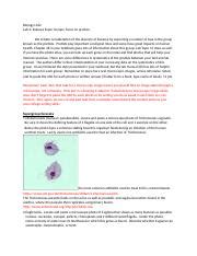 Bio 102 Protist Lab Docx Biology L102 Lab 2 Eukarya Super Groups Focus On Protists We