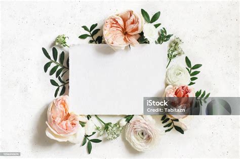 여성 결혼식 생일 모형 빈 종이 인사말 카드 흰색과 분홍색 라난큘러스 카네이션 아스트란티아 꽃의 꽃 프레임 렌티스크 잎 콘크리트 테이블 배경입니다 플랫 레이 상단 보기 꽃
