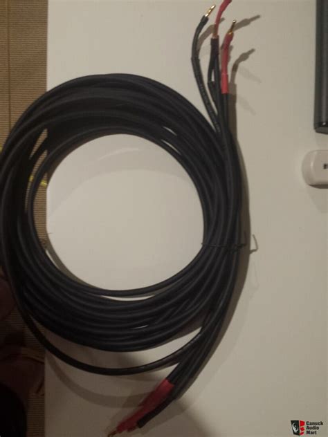 Dh Labs Silver Sonic T14 External Bi Wired Speaker Cable 12 Pair Photo 1949387 Us Audio Mart