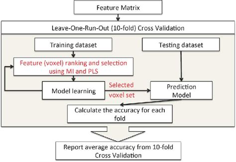 Figure 2 From Voxel Selection Framework In Multi Voxel Pattern Analysis Of Fmri Data For