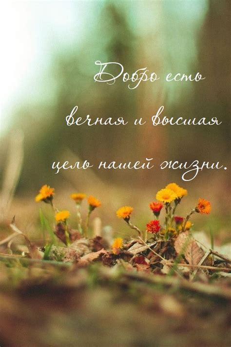 Красивые картинки - цитаты про добро (40 фото)