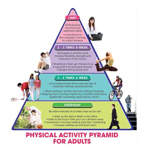 What Are 5 Examples Of Physical Activity At Pamela Alvarez Blog