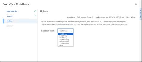 Restore Workflow Dell Powerprotect Data Manager Protecting Data On