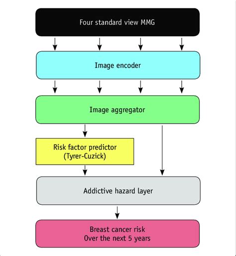 Mirai Artificial Intelligence Mammography Based Breast Cancer Risk Download Scientific Diagram
