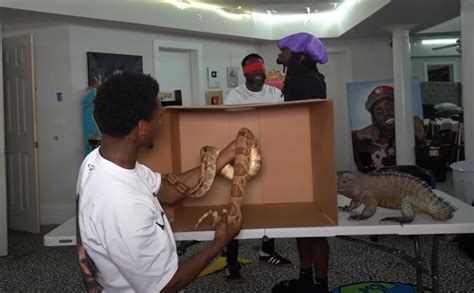 Kai Cenat And Kevin Hart Stream Breaks Twitch Records Jaxongg