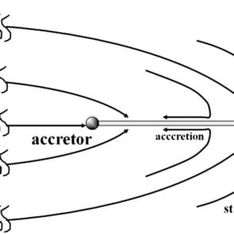 Result Of Numerical Simulation Of Bondi Hoyle Lyttleton Accretion Flow