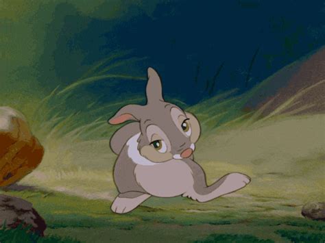 Disney  Find And Share On Giphy