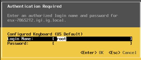 How To Replace Vmware Esxi Ssl Certificates Syneto
