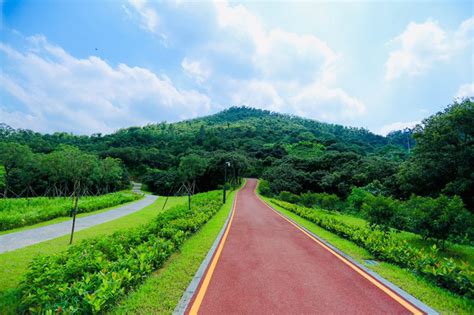 深圳市绿道图 大山谷图库