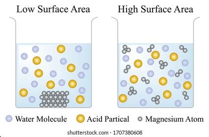 Illustration Chemical Weak Strong Acid Solution Stock Vector Royalty Free 1707380605