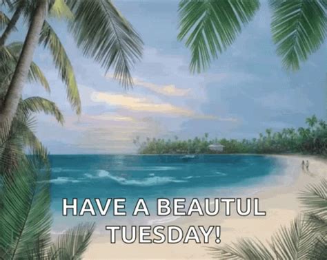 Beach Have Abeautiful Tuesday  Beach Haveabeautifultuesday