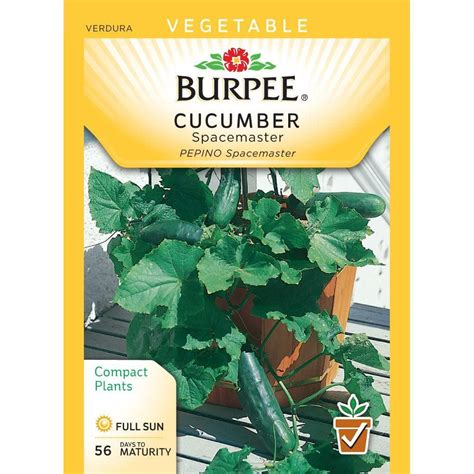 Burpee Cucumber Spacemaster Seed 51792 The Home Depot