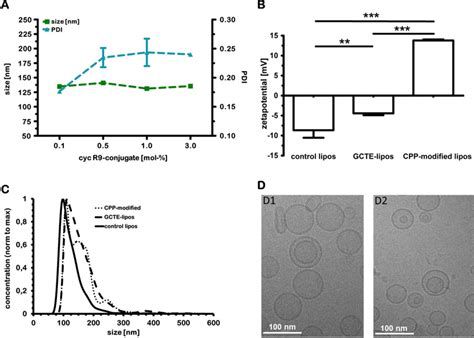 characterization of cpp‐modified liposomes a size and pdi of