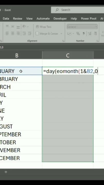 How To Use Day With Eomonth In Excel Shorts Trending 🙂👍 Shortsvideo Hiphop Youtube
