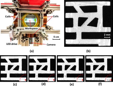 Figure 1 From Path Planning And Aggregation For A Microrobot Swarm In Vascular Networks Using A
