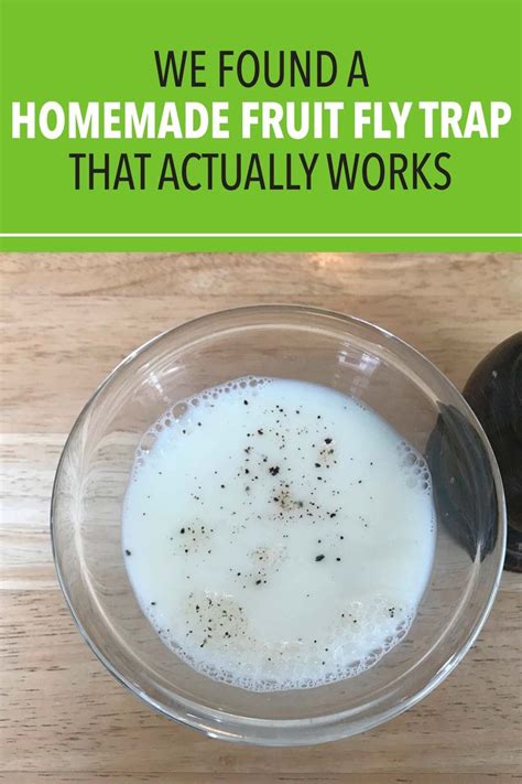 10 Best Ways To Get Rid Of Pesky Fruit Flies Homemade Fruit Fly Trap