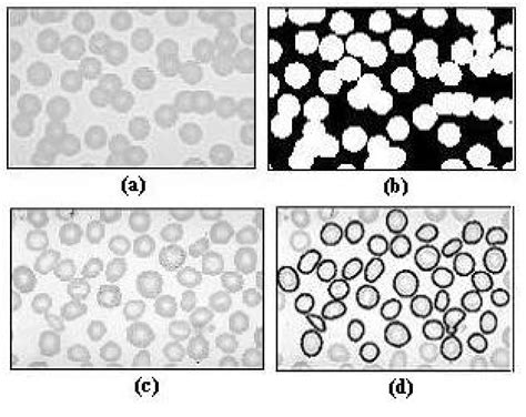 Images Employed A Synthetic Image B Segmentation Mask From Image Download Scientific