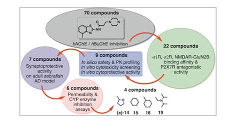 Bengisu Turgutalp On Linkedin Discovery Of Potent Cholinesterase Inhibition Based Multi Target