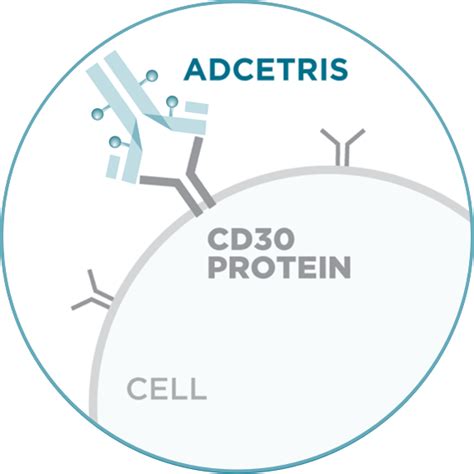 Adcetris® For Select Peripheral T Cell Lymphomas