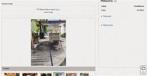 Oci Vision Image Model Based On Object Detection Ora Lytics