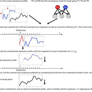Scheme Used For Quantification Study Of Combinatorial Gene Regulation Download Scientific