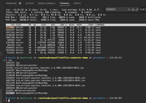 Spring Boot Extension Taking Almost 3 Gigabytes Memory · Issue 1058 · Microsoftvscode Java