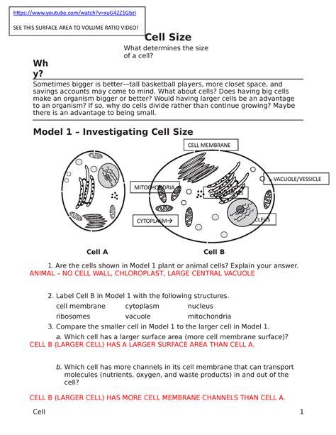 Pogil Cell Size Key Love It Wh Y Cell Size What Determines The