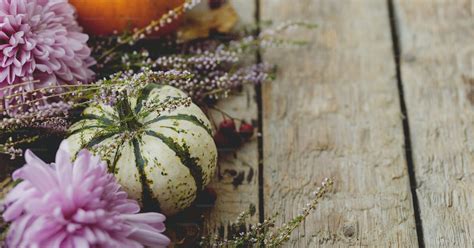 행복한 추수 감사절 세련된 호박 단풍 보라색 달리아 꽃 소박한 오래된 나무 배경에 헤더 가을 수확 농촌 구성 텍스트를