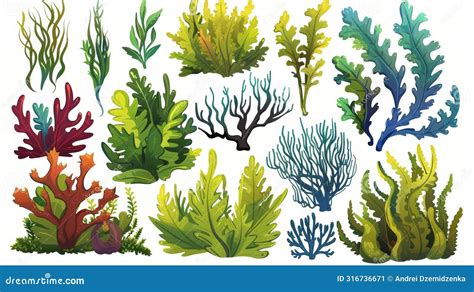 Underwater Ocean Plants Modern Illustration Ocean Grass Algae Kelp
