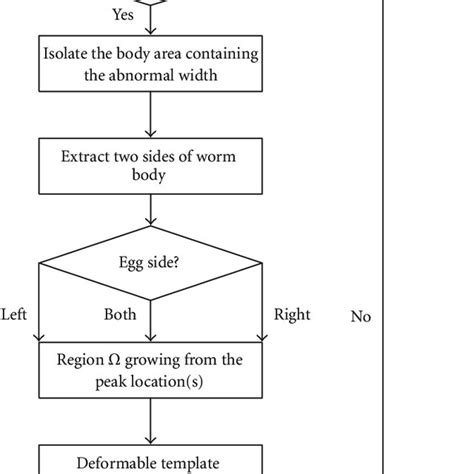 Flowchart Of The Egg Detection Process Download Scientific Diagram