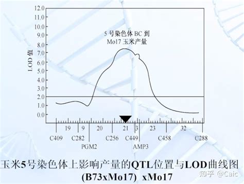 遗传学 8 数量性状的遗传 知乎