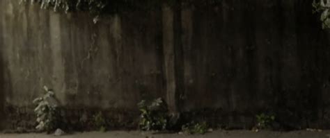 Dirty Ice Cream VIVAmax