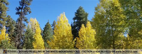 Payson Police Department You May Not Always See Them But They Are There Over The Past Few