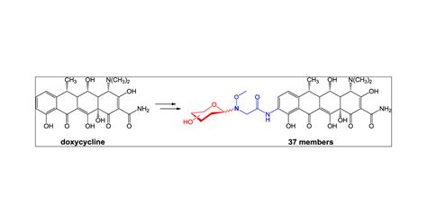 Synthesis And Antibacterial Activity Of Doxycycline Neoglycosides Journal Of Natural Products