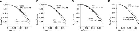 Structural And Dynamic Effects Of Pseudouridine Modifications On Noncanonical Interactions In Rna
