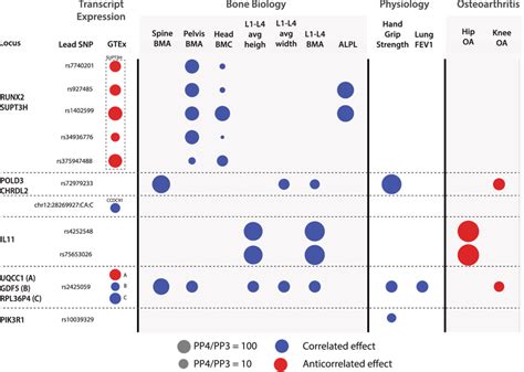 Genetic Colocalization Analysis The Colocalization Of Genetic Signals Download Scientific