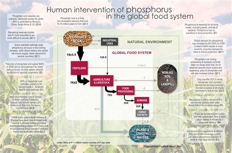 The Phosphorus Challenge Phosphorus Futures