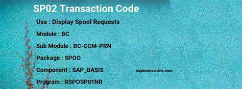 Sp02 Sap Tcode For Display Spool Requests