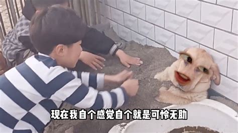 六舅二舅都来了 小名叫建伟 小名叫建伟 哔哩哔哩视频