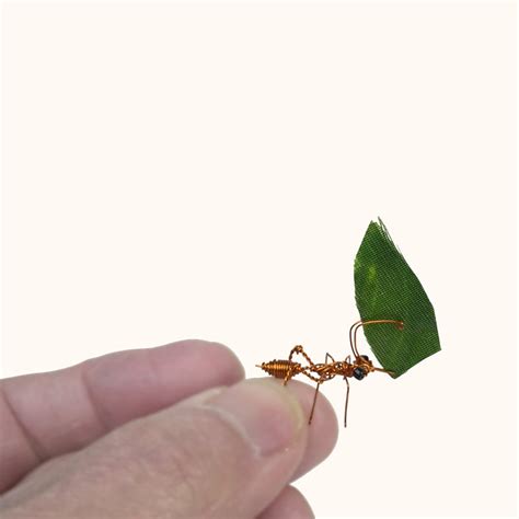 Cristo Escamilla Leafcutter Ants Set Wire Art Sandia Folk