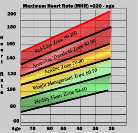Check Your Pulse Rate Personal Trainer El Paso Online Personal Trainer