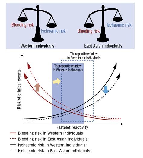 Reduced Dose Prasugrel Monotherapy Without Aspirin After Pci With The