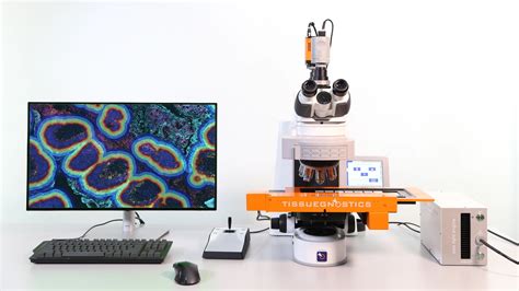 Tissue Cytometers Analysis Solutions