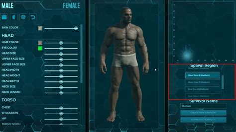 Best Spawn Region In Ark Survival Ascended