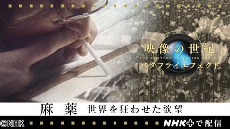 映像の世紀バタフライエフェクト 麻薬 世界を狂わせた欲望 字 再 Gガイドテレビ王国