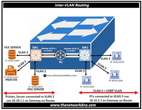 Ccna Rns Article 25 Inter Vlan Routing The Network Dna