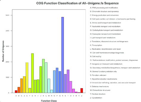Cog Functional Categories Of R Microporus Unigenes Download Scientific Diagram